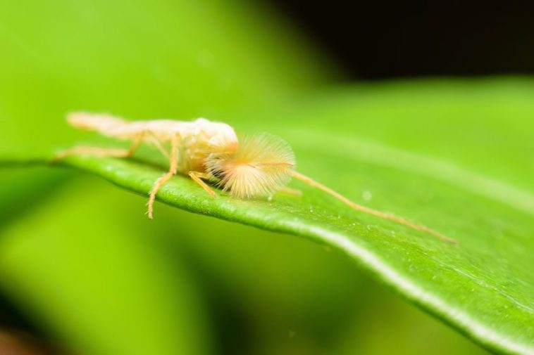 Koliko dugo žive životinje - Zoona.hr